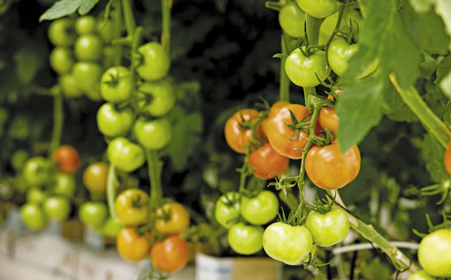 Biological crop protection | Farmer's Weekly SA